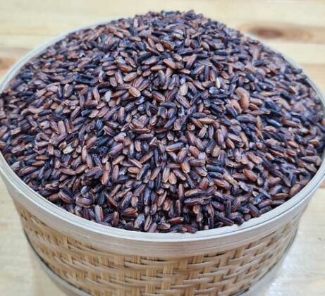 கருப்பு கவுனி அரிசி மருத்துவ பயன்கள் | Black rice benefits in Tamil