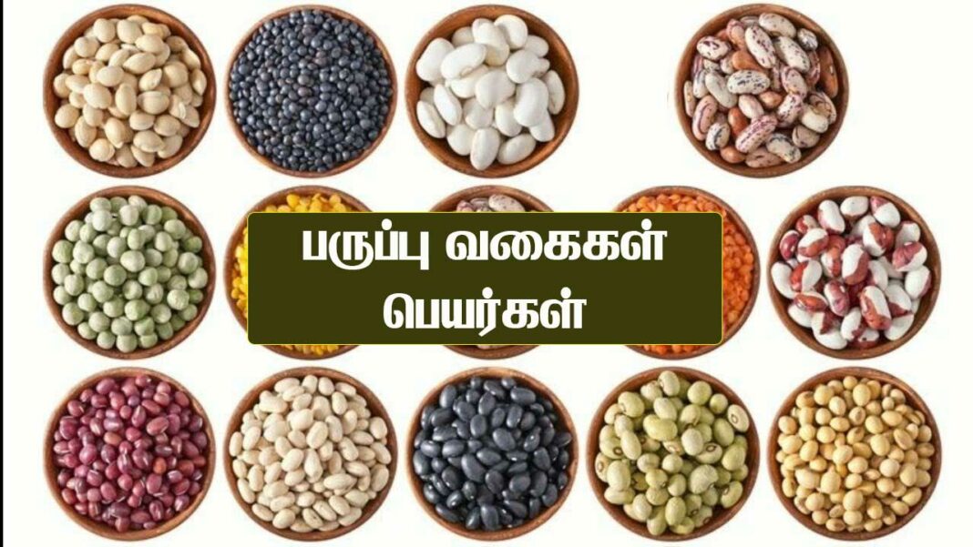 பருப்பு வகைகள் | Pulses List in Tamil | Paruppu Vagaigal