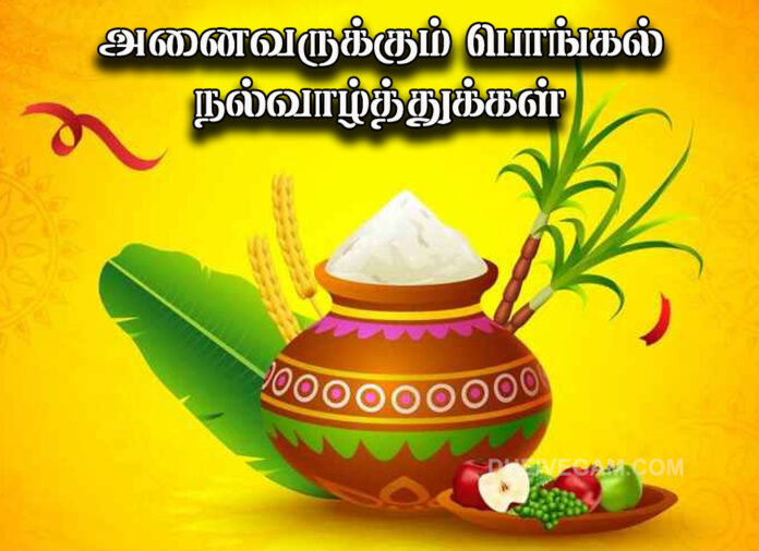 Pongal valthukkal images Tamil 2023 | பொங்கல் வாழ்த்துக்கள் படம்