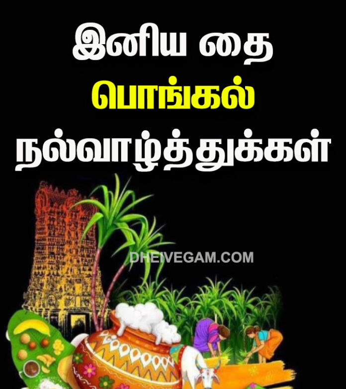 Pongal valthukkal images Tamil 2023 | பொங்கல் வாழ்த்துக்கள் படம்