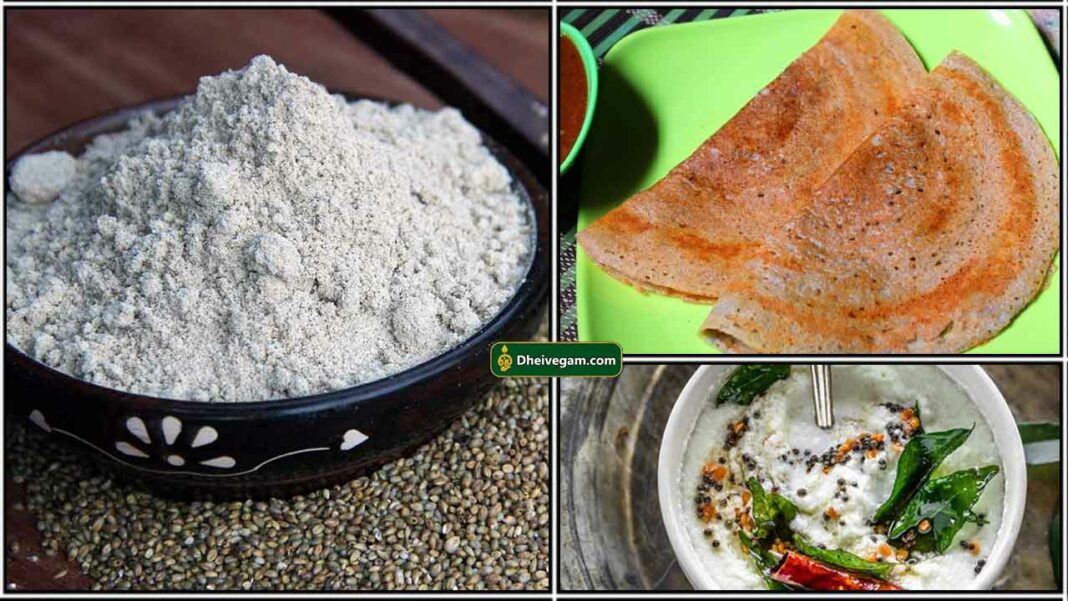 கம்பு மாவு தோசை | Kambu maavu dosai recipe in Tamil