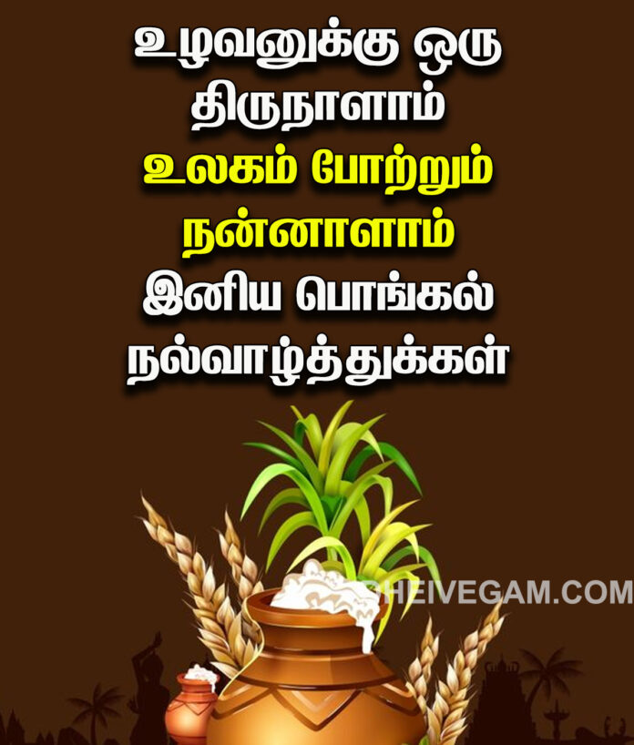Pongal valthukkal images Tamil 2023 | பொங்கல் வாழ்த்துக்கள் படம்