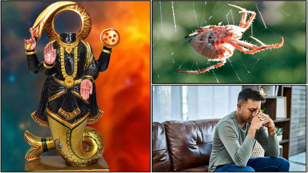 வீட்டில் ஒட்டடை சேர்வதால் வரும் தீமை | Vettil Ottadai Servathal Varum ...