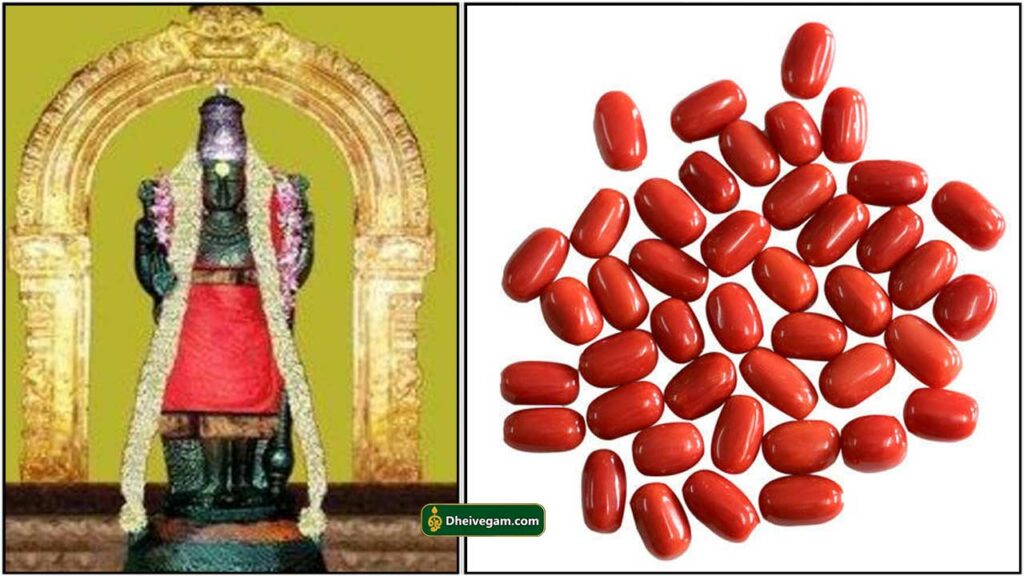 செவ்வாய் தோஷம் பரிகாரம் | Chevvai dosham pariharam in Tamil