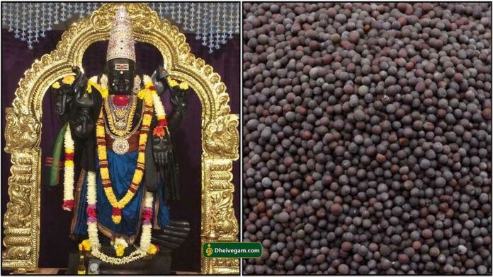 சனி திசை பரிகாரங்கள் | Sani dasa pariharam in Tamil