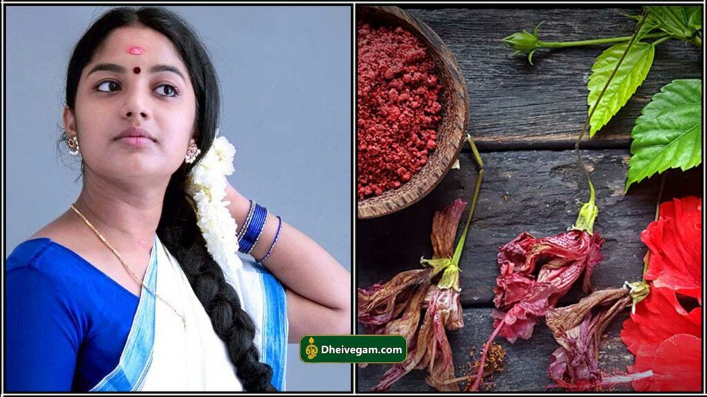 என்றும் இளமையாக இருக்க செம்பருத்திப்பூ ஃபேஸ் பேக் பயன்படுத்துங்கள் ...