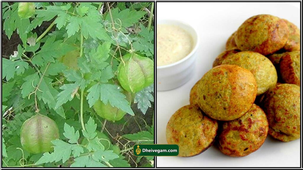 முடக்கத்தான் கீரை பணியாரம் | Mudakathan keerai paniyaram recipe in tamil