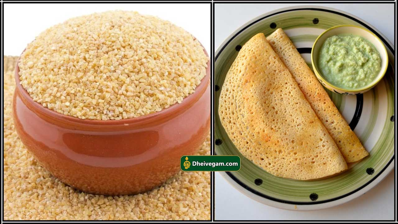 சம்பா ரவை தோசை செய்முறை | Samba rava dosai recipe in tamil