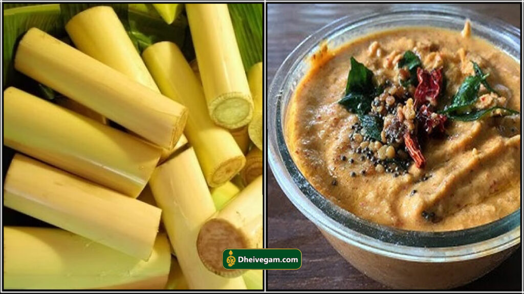 வாழைத்தண்டு சட்னி செய்முறை | Vazhaithandu chutney recipe in tamil