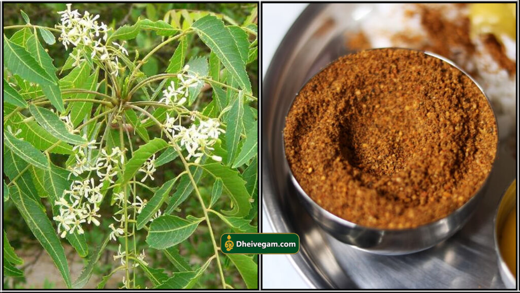 வேப்பம்பூ பொடி செய்முறை | Veppam poo podi recipe in tamil