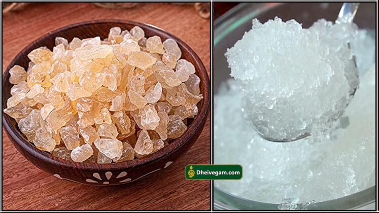 பாதாம் பிசின் நன்மைகள் | Badam pisin benefits