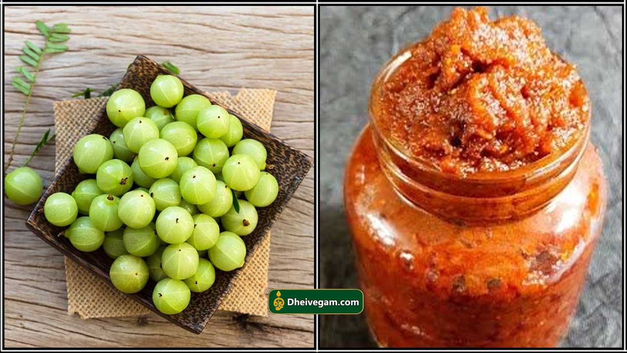 நெல்லிக்காய் தொக்கு செய்முறை | Nellikai thokku recipe in tamil