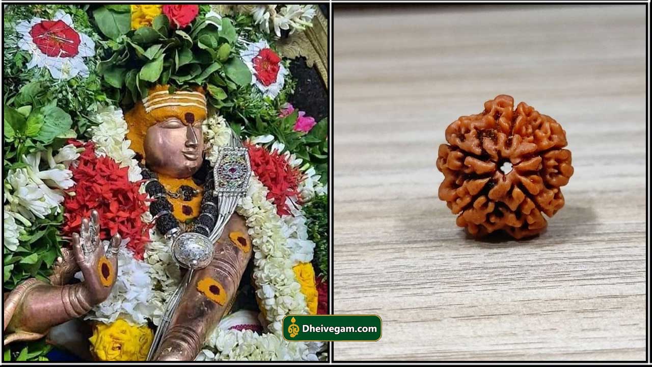 சிவ அருள் பெற ருத்ராட்ச வழிபாடு | Siva arul pera ruthracha valipadu சிவ அருள் பெற ருத்ராட்ச வழிபாடு | Siva arul pera ruthracha valipadu