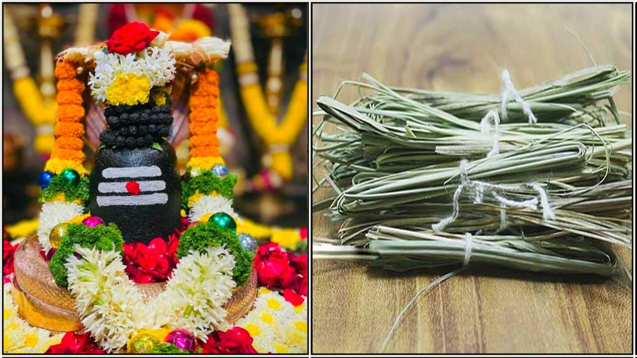 தர்ப்பை புல் மகிமை | tharbai pul magimai in tamil