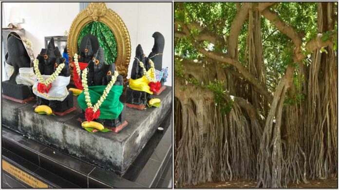 கடன் தீர ஆலமர பரிகாரம் | kadan theera alamara pariharam in tamil