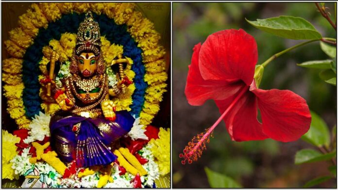 வேதனைகளை நீக்கும் வளர்பிறை பஞ்சமி வழிபாடு | vedhanaigal neegum ...