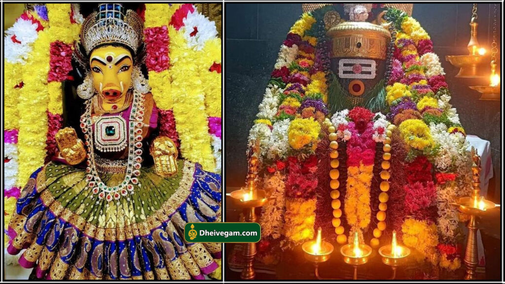 வாழ்க்கை போராட்டம் தீர வாராஹி வழிபாடு | Valkai porattam theera varahi ...