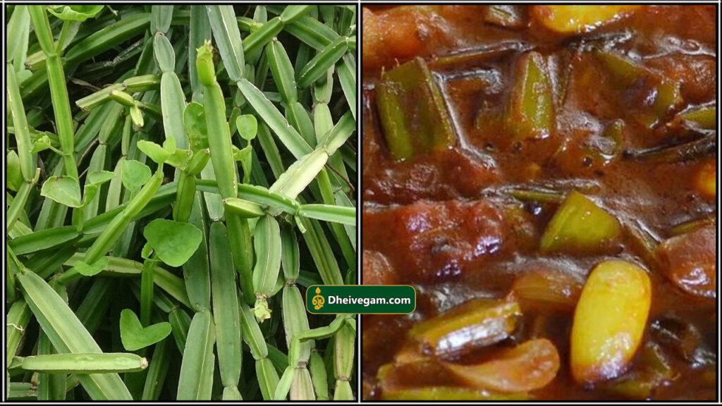 பிரண்டை குழம்பு செய்முறை | Pirandai kulambu recipe in tamil