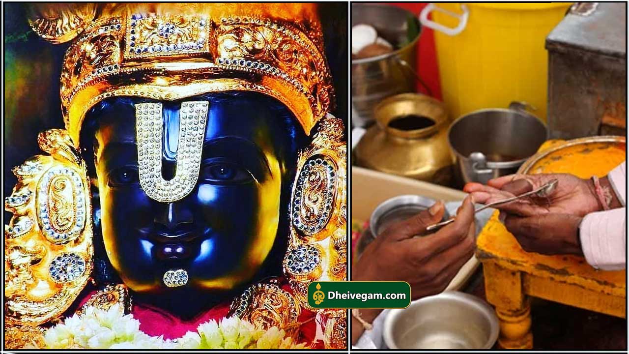 பெருமாள் தீர்த்தம் மகிமை | Perumal theertham