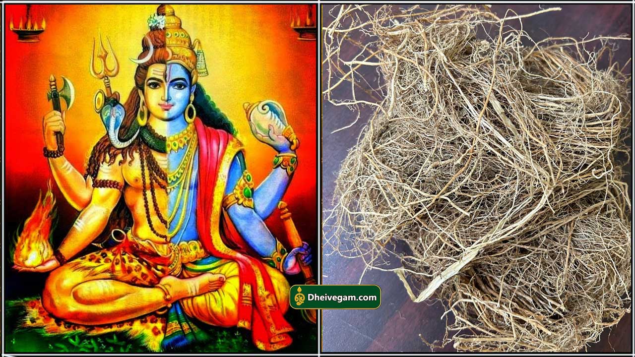 இன்று சொல்ல வேண்டிய சிவன் விஷ்ணு மந்திரம் | Sivan vishnu manthram