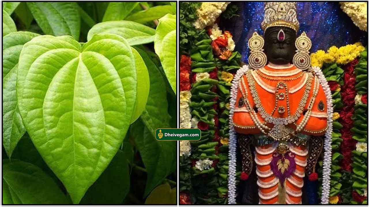 வெற்றி தரும் வெற்றிலை மாலை | Vetri tharum vetrilai malai