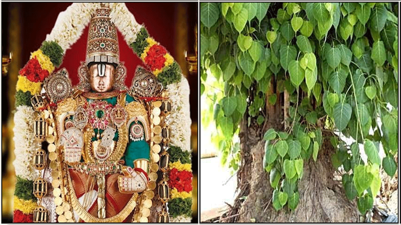 பிரச்சனைகள் பறந்தோட பெருமாள் பரிகாரம் | pirachanaigal paranthoda ...