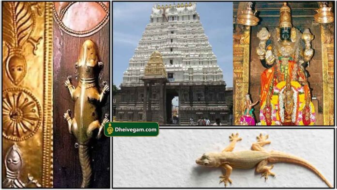 வீட்டில் பல்லி தரும் பலன்கள் | Vettil palli tharum palangal