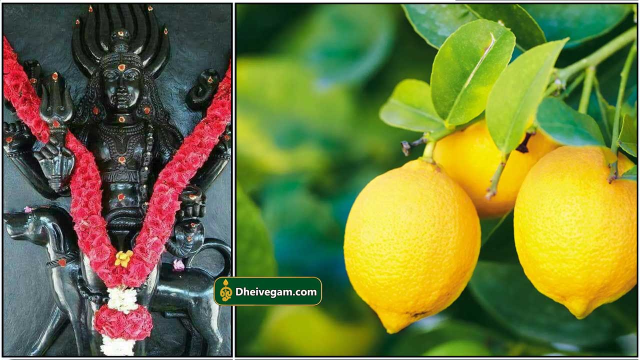 8-12-2024 வளர்பிறை அஷ்டமி வழிபாடு | Valarpirai ashtami vazhipadu