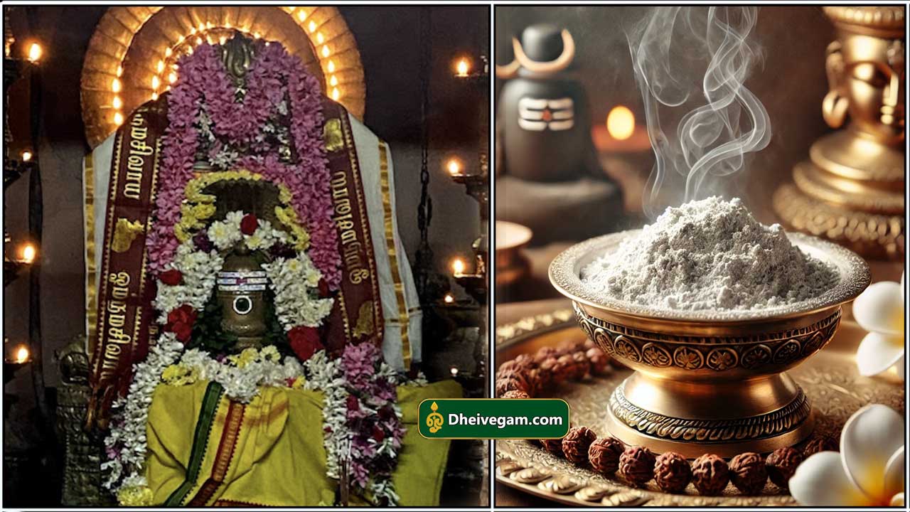 சிவன் கோவில் விபூதி பிரசாதம் பயன்படுத்தும் முறை | Sivan koil vibuthi ...