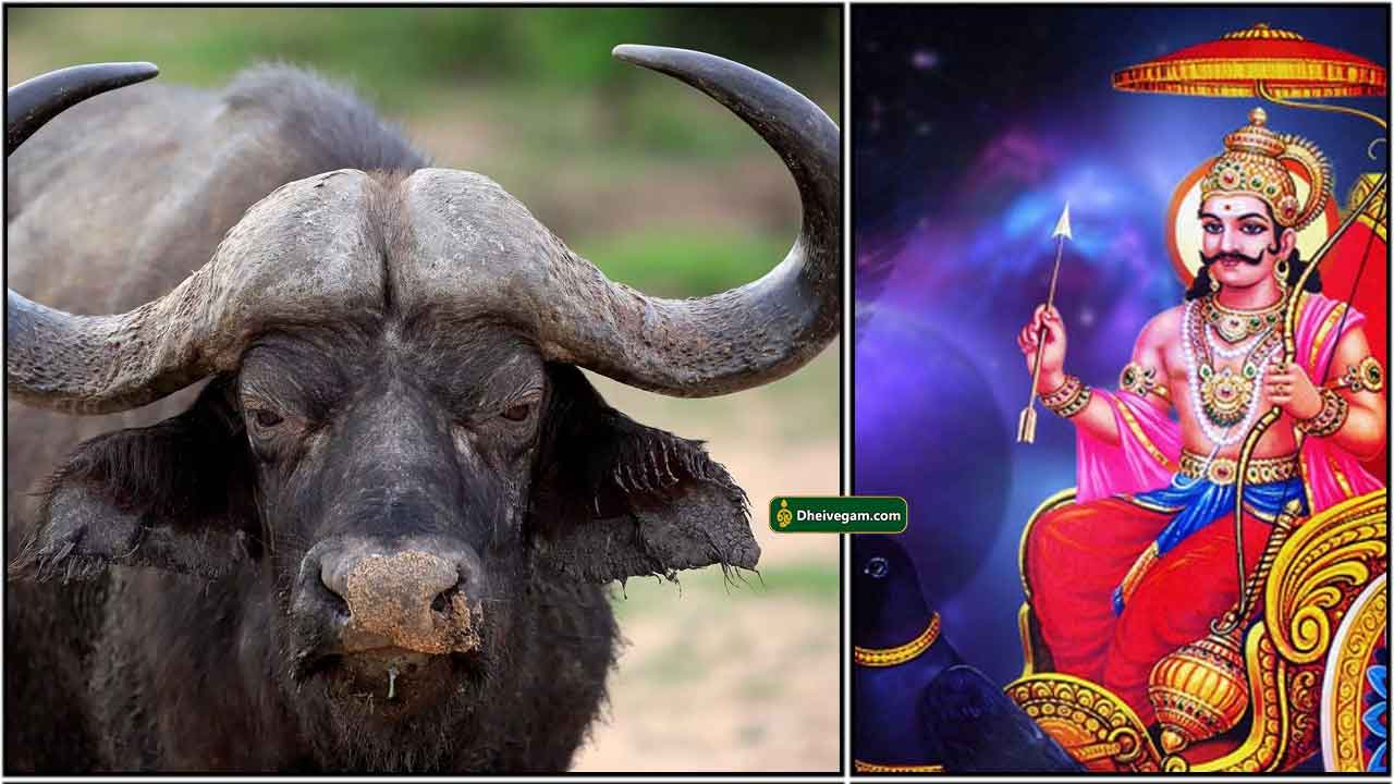 வாழ்க்கை பயம் நீங்க பரிகாரம் | Vaazhkai bayam neenga pariharam