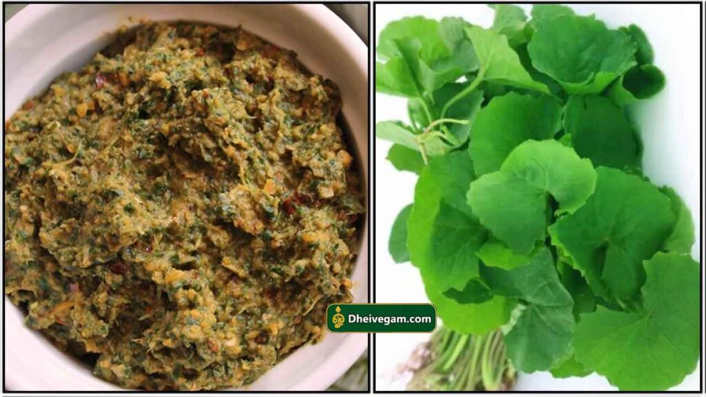 வல்லாரைக் கீரை சட்னி ரெசிபி | Vallarai keerai chutney recipe