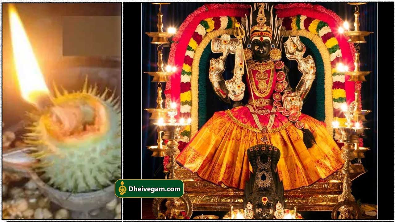 கண் திருஷ்டி விலக அமாவாசை இரவு ஏற்ற வேண்டிய தீபம் | Umathangai deepam