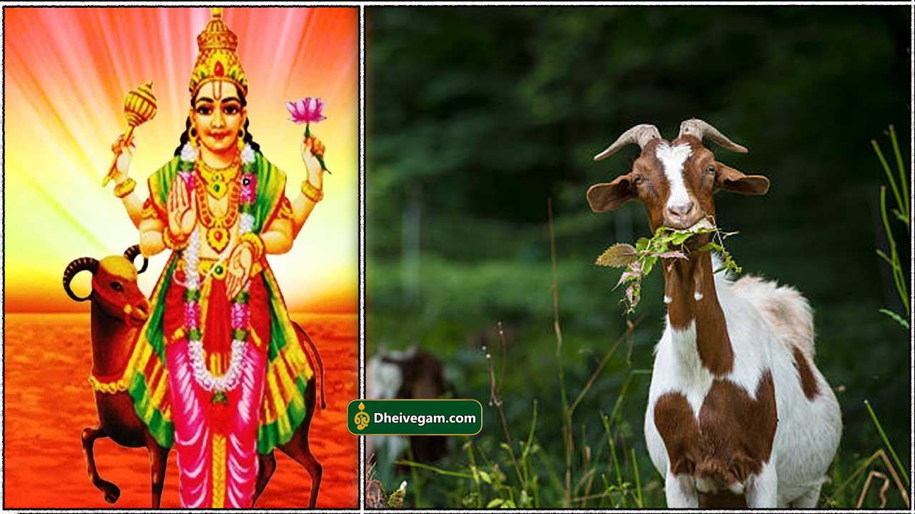 நல்ல வேலை கிடைக்க செவ்வாய்க்கிழமை மந்திரம் | Nalla velai kidaikka manthram