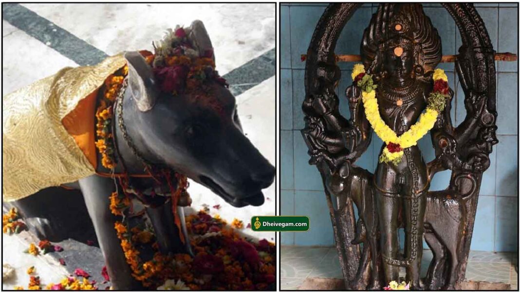 கால பைரவர் வாகனம் | Kala bairavar vaganam
