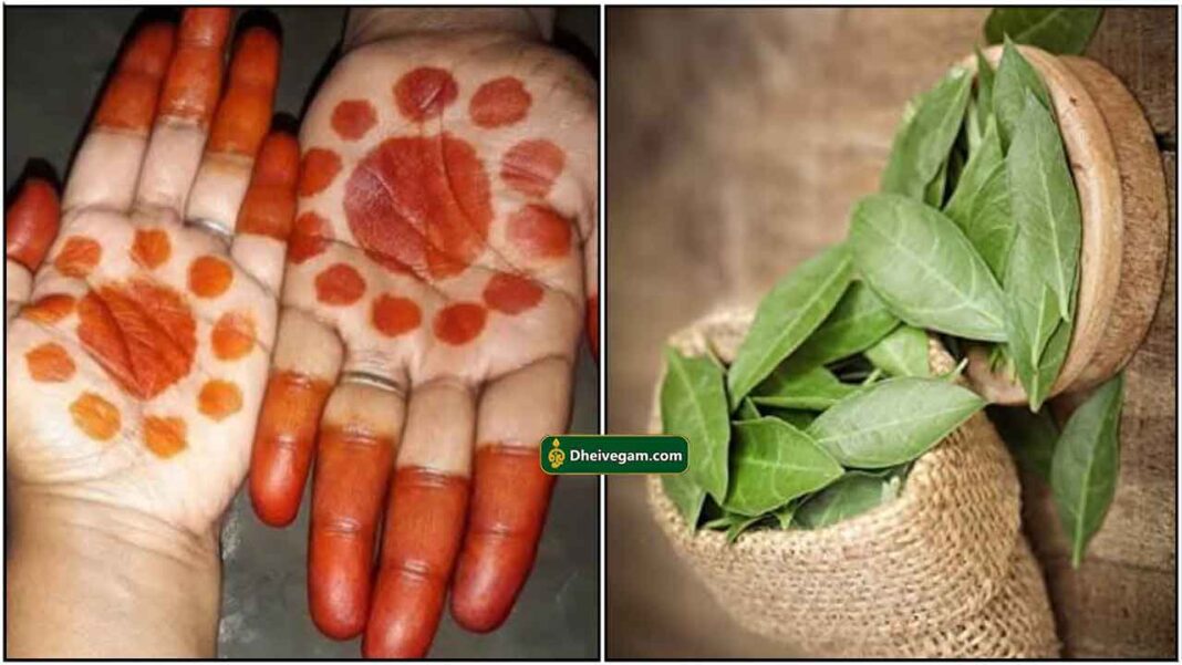 மருதாணி செடி யோகம் | Maruthani chedi yogam