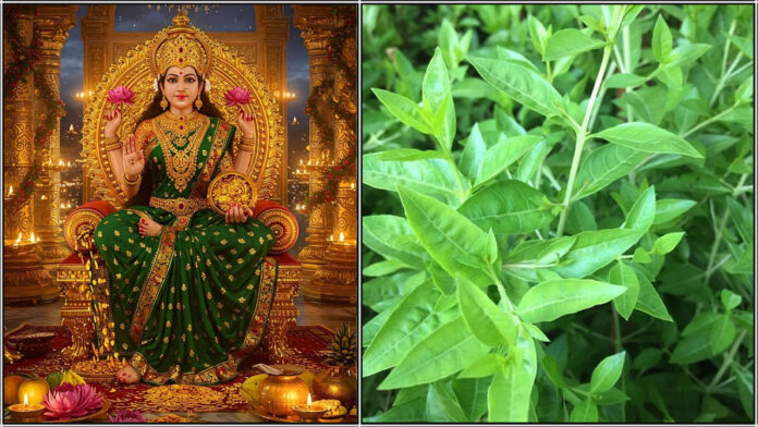 கஷ்டங்களை தீர்க்கும் மருதாணி வழிபாடு | kastangalai theerkum maruthani ...